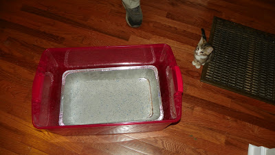 Two Broke Bruces: DIY Litter Box