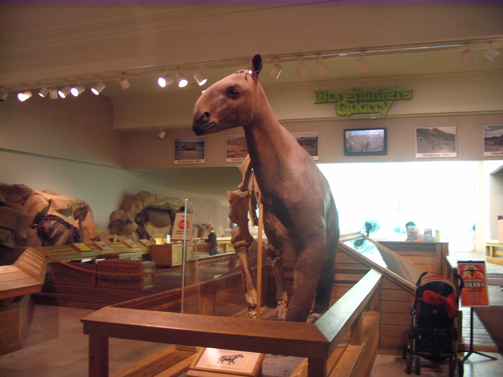 What happens when a non-accredited paleontology fan blogs: Species That ...