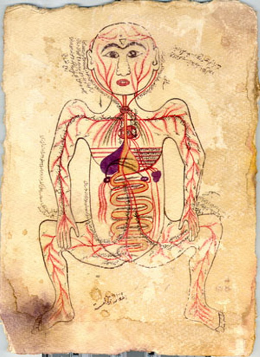 Ibnu al-Nafis bapak "blood pulmonary circulation" | Info Update dan ...