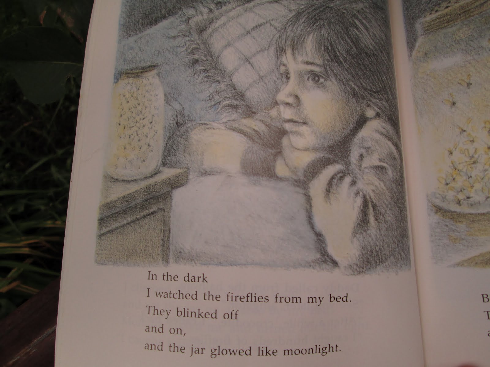 Letters from a Hill Farm: Fireflies! by Julie Brinckloe