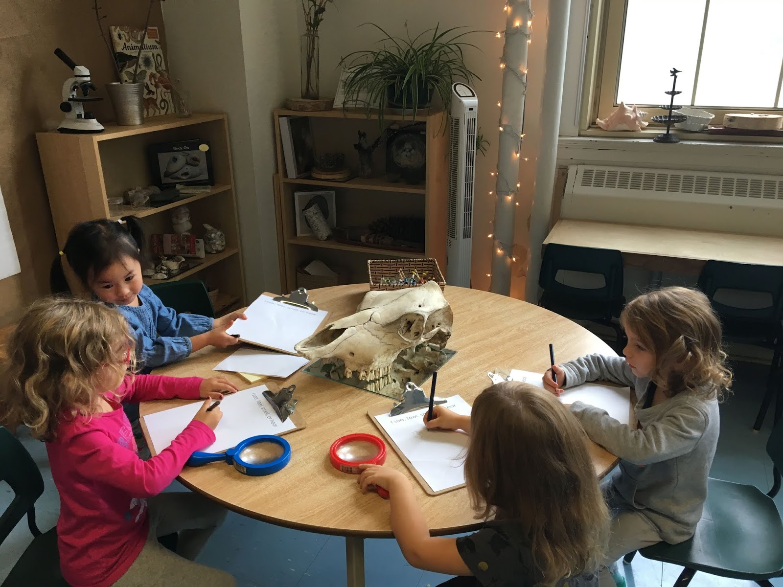 Wonders in Kindergarten: Creating a classroom community: A look at our ...