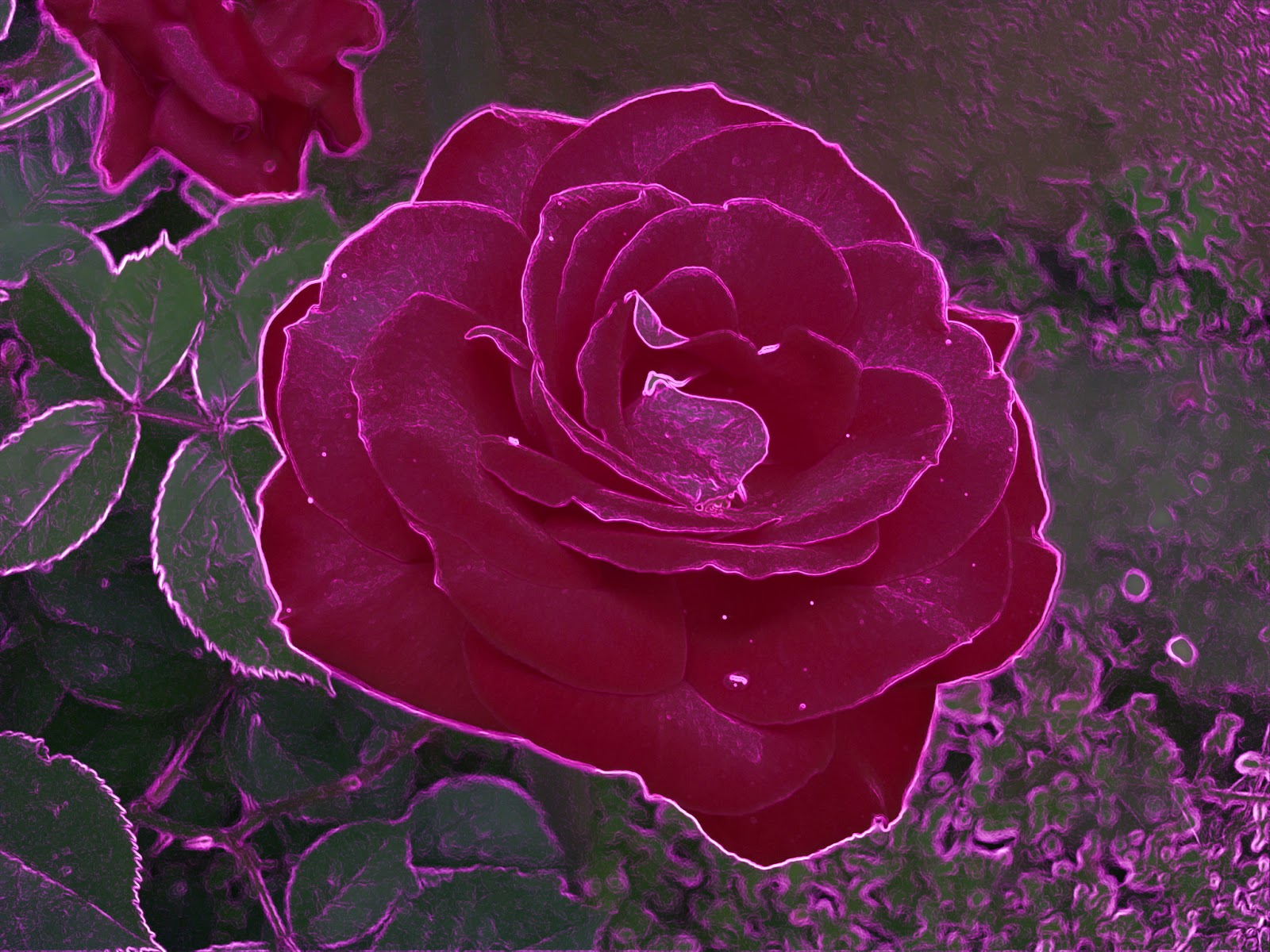 In English, pleaseee...: The Sick Rose.