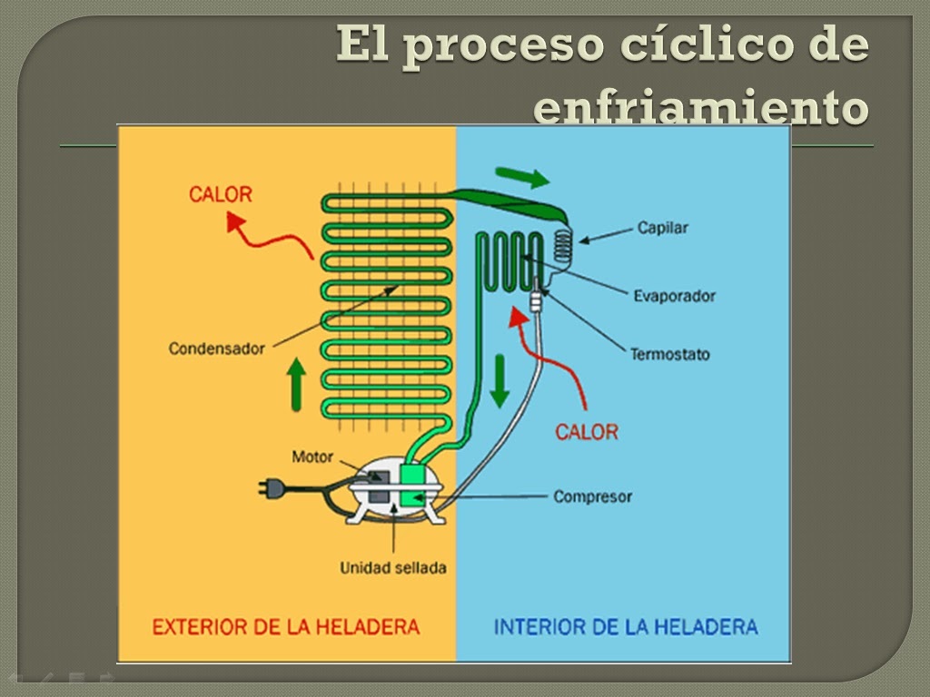 Que Es El Sistema Ciclico - slingo