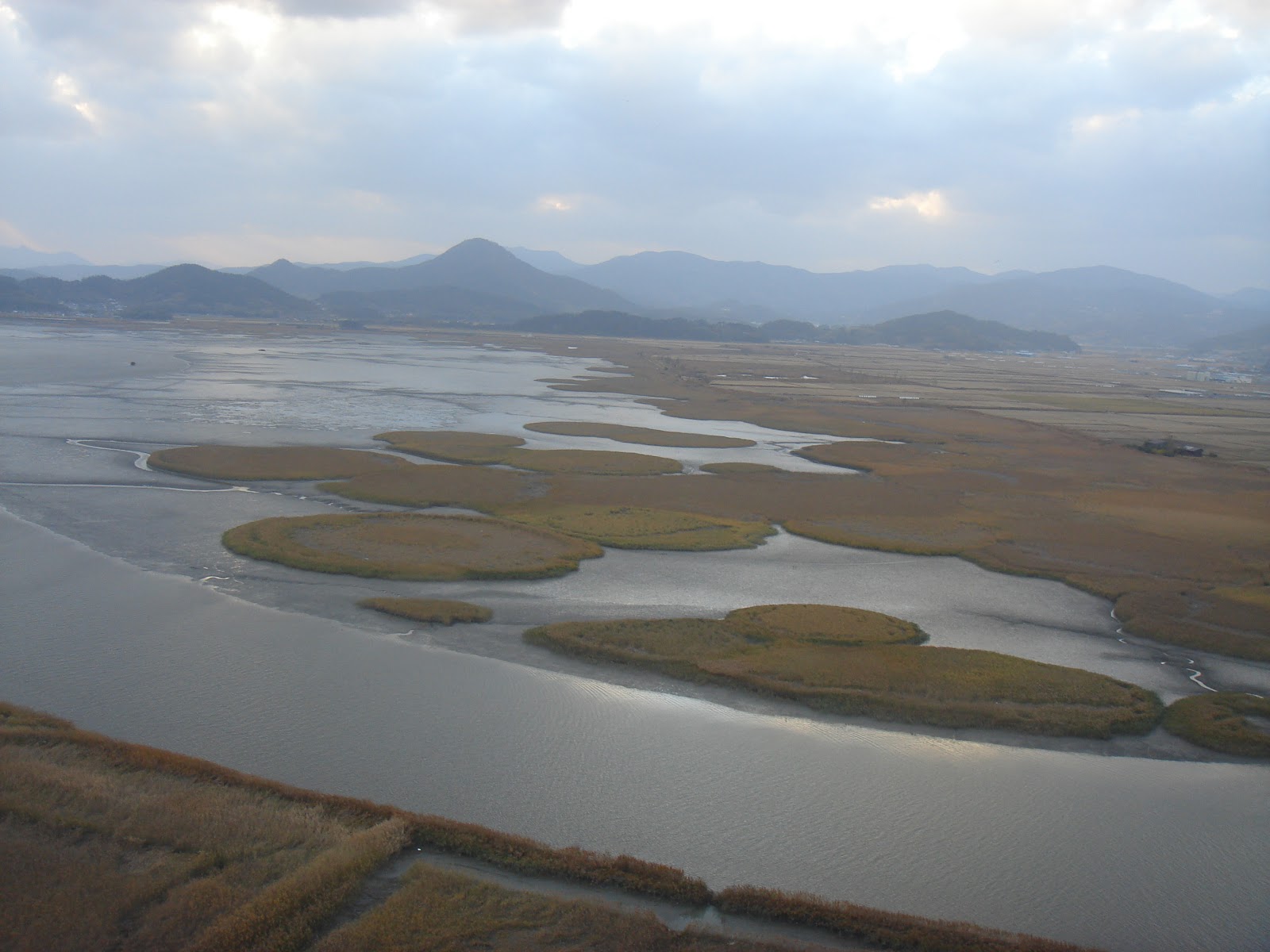 Fakhar Khan: Suncheon Bay (Autumn)