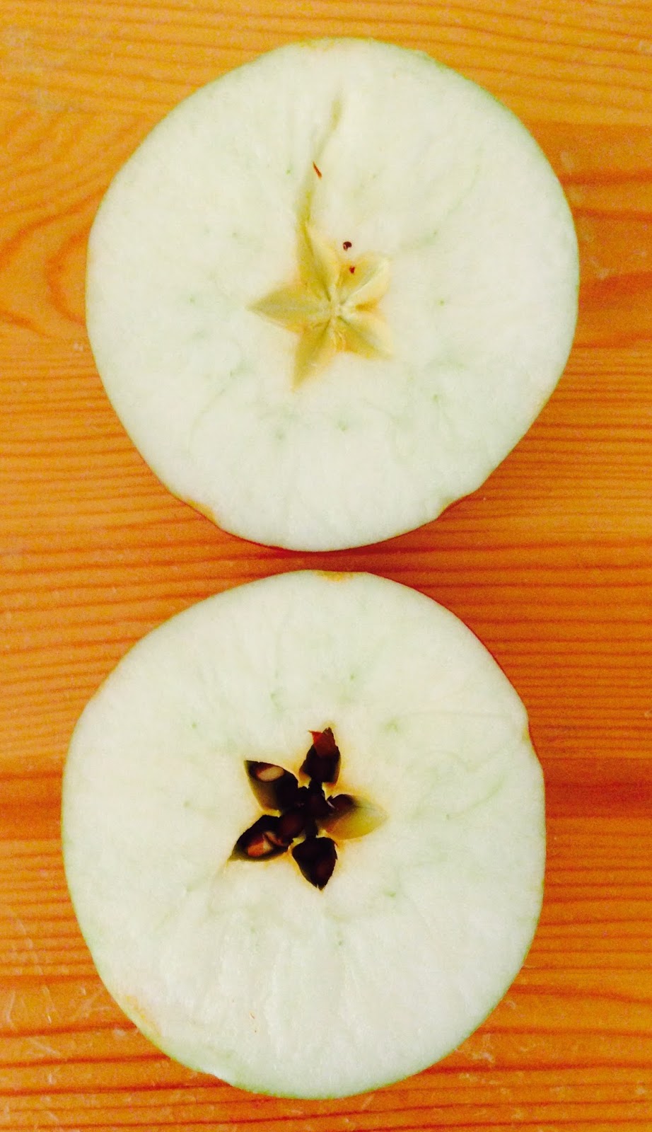 Maggie's Big Home: Apples: Alike and Different