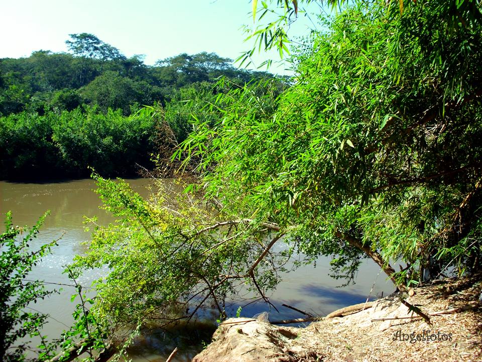 LUCÉLIA EM FOCO: Dois toques do Rio Feio pelas lentes da Fotógrafa ...