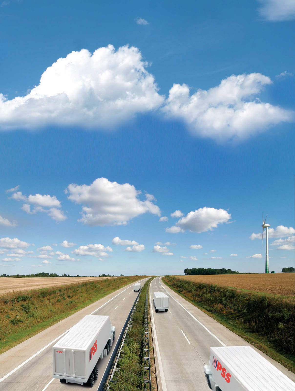 PSS Distribution: Third Party Logistics Services: 2011