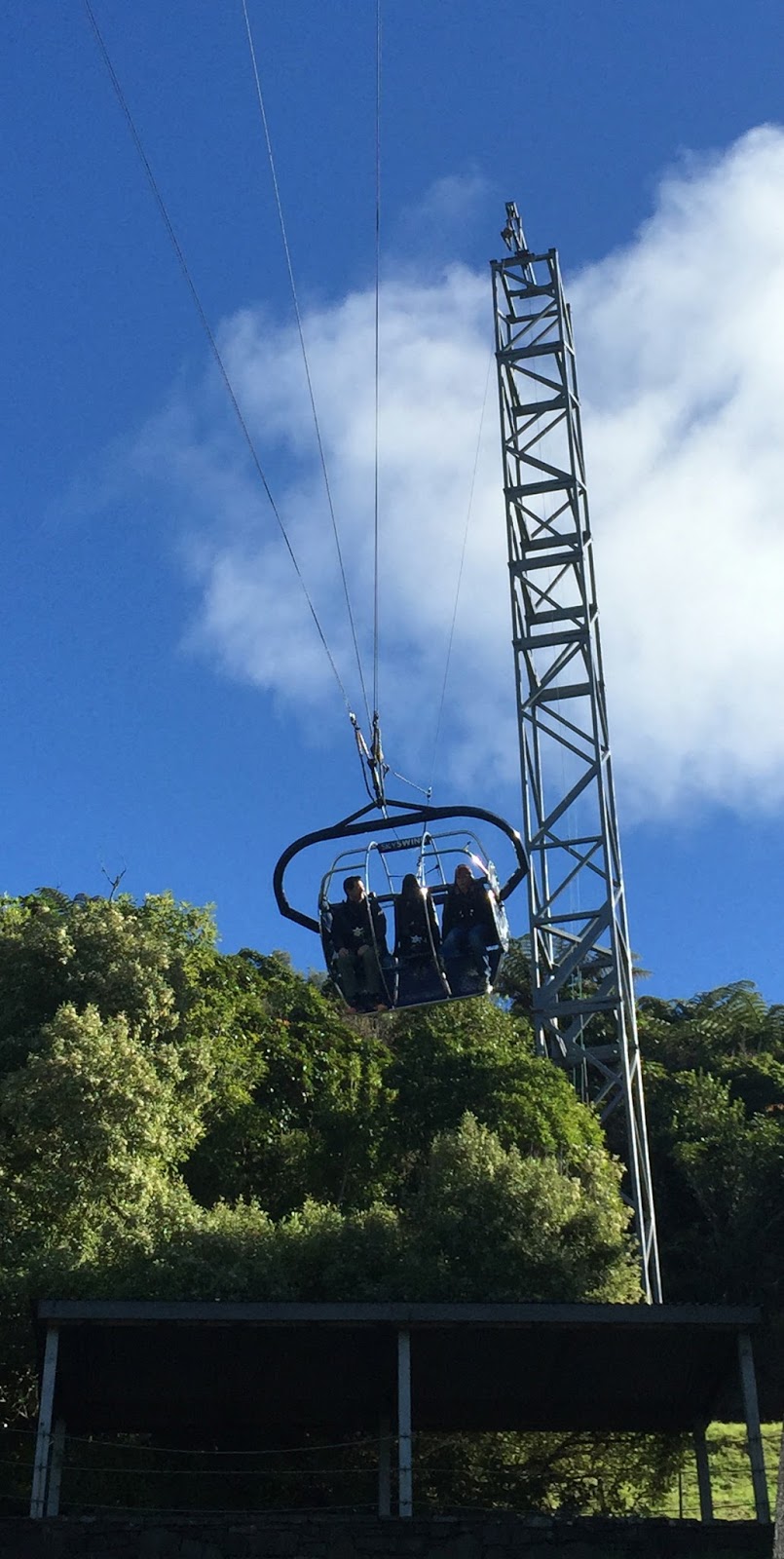 Tracey's Bucket List Adventures: The Skyswing Rotorua, New Zealand ...
