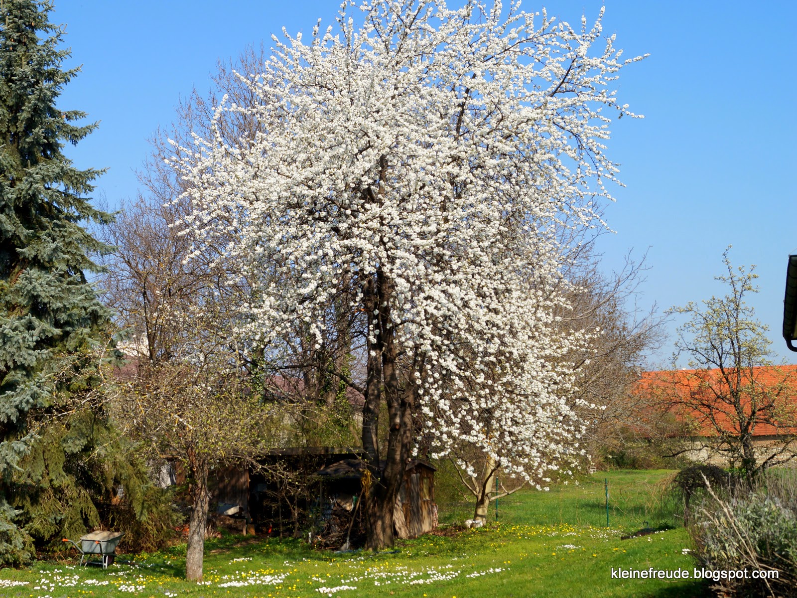 kleine freude: März 2014