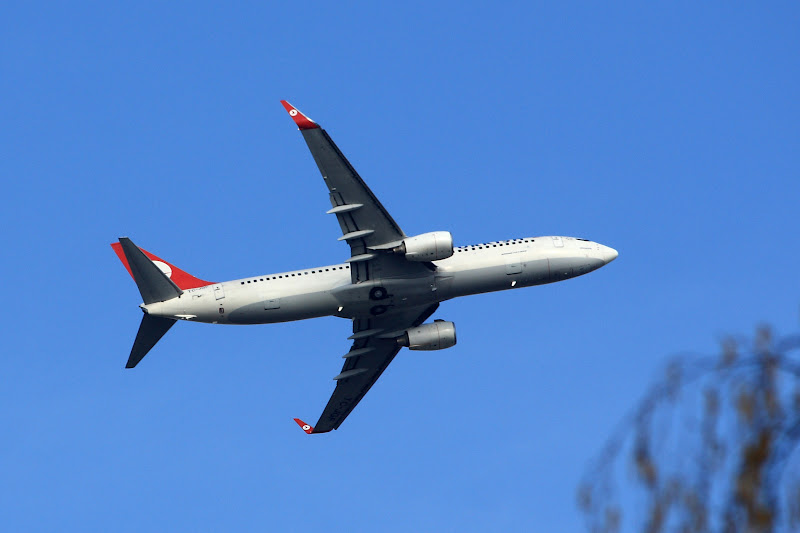 wade's scale models & modest aviation photography: Turkish B737 TC-JGF