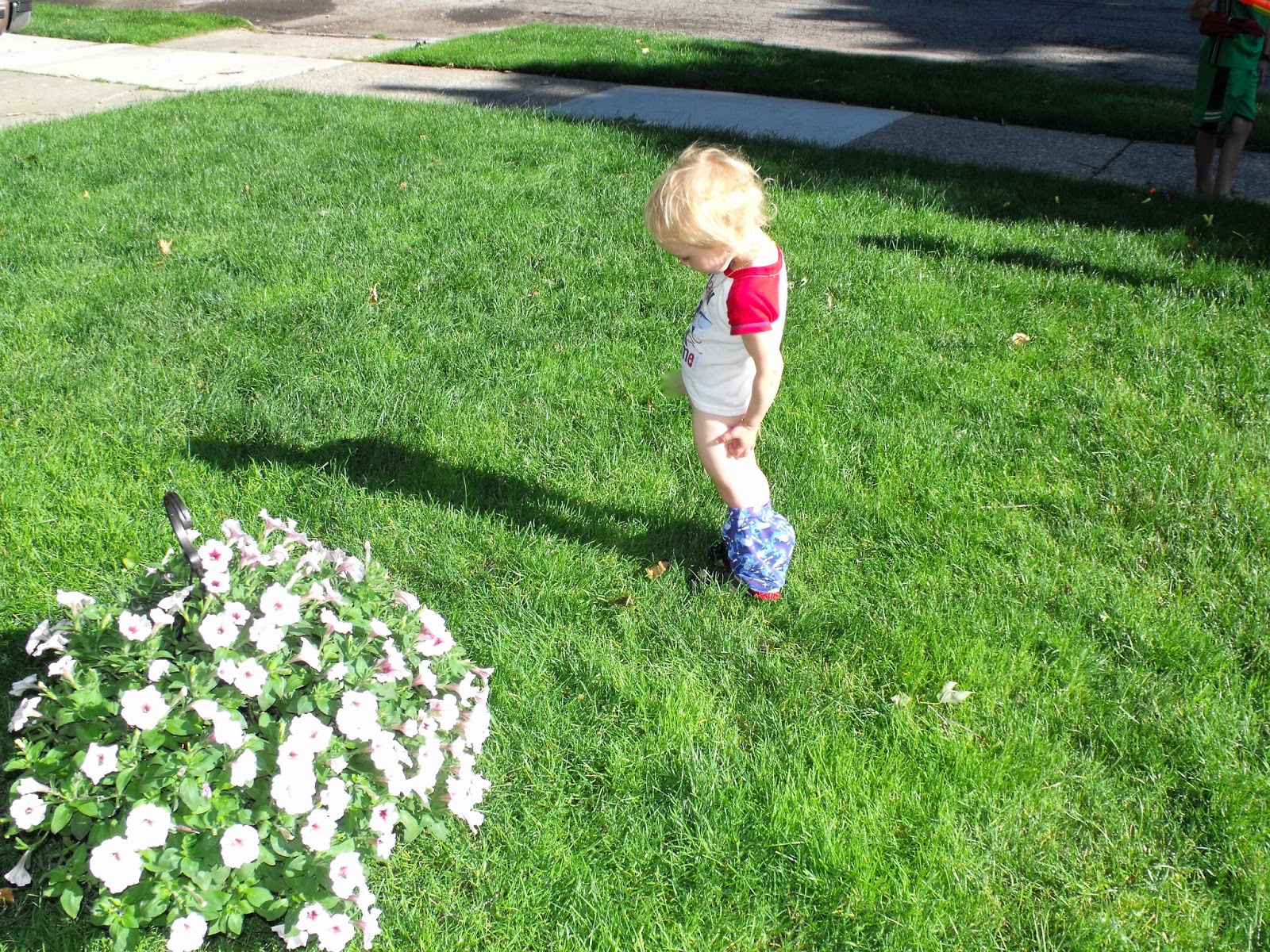 Green and Bitchy: July 2014