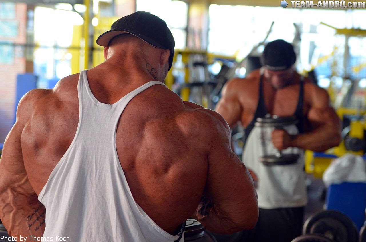 Worldwide Bodybuilders: German muscle wonder Sascha Zalman