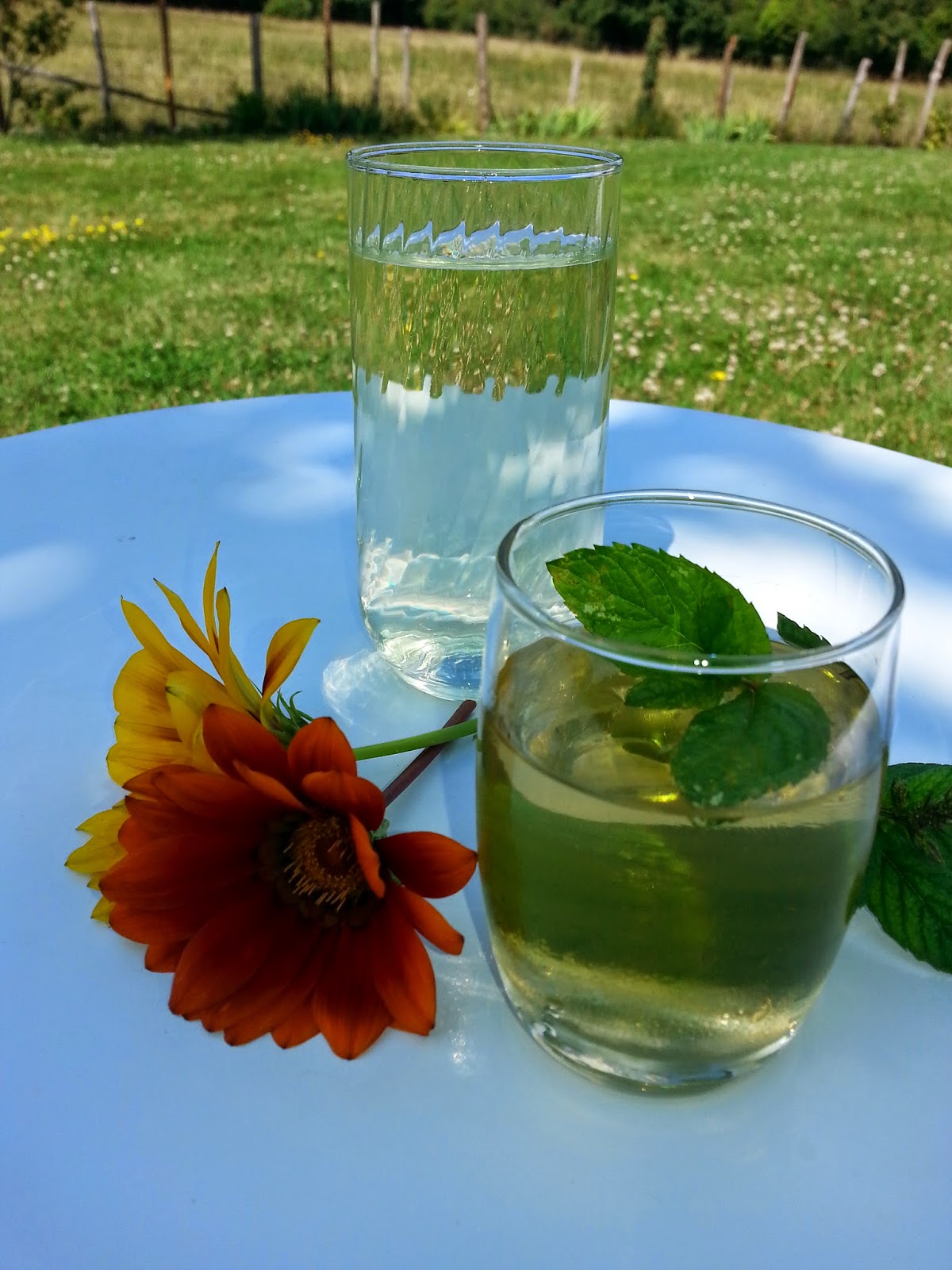 Délices d'une novice: Sirop de menthe maison