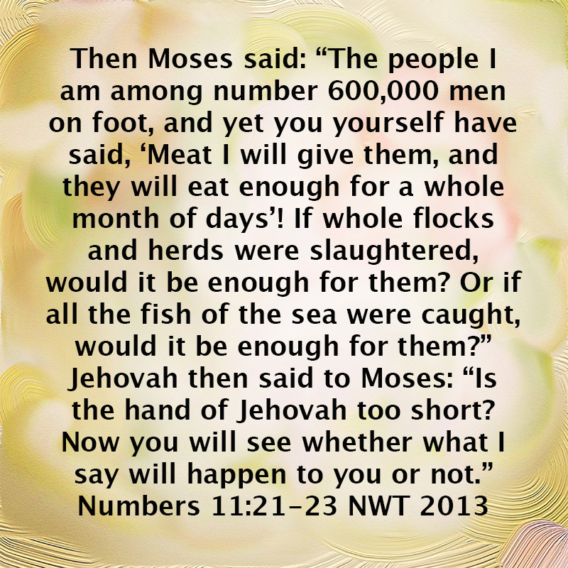 My Bible Reading: NUMBERS