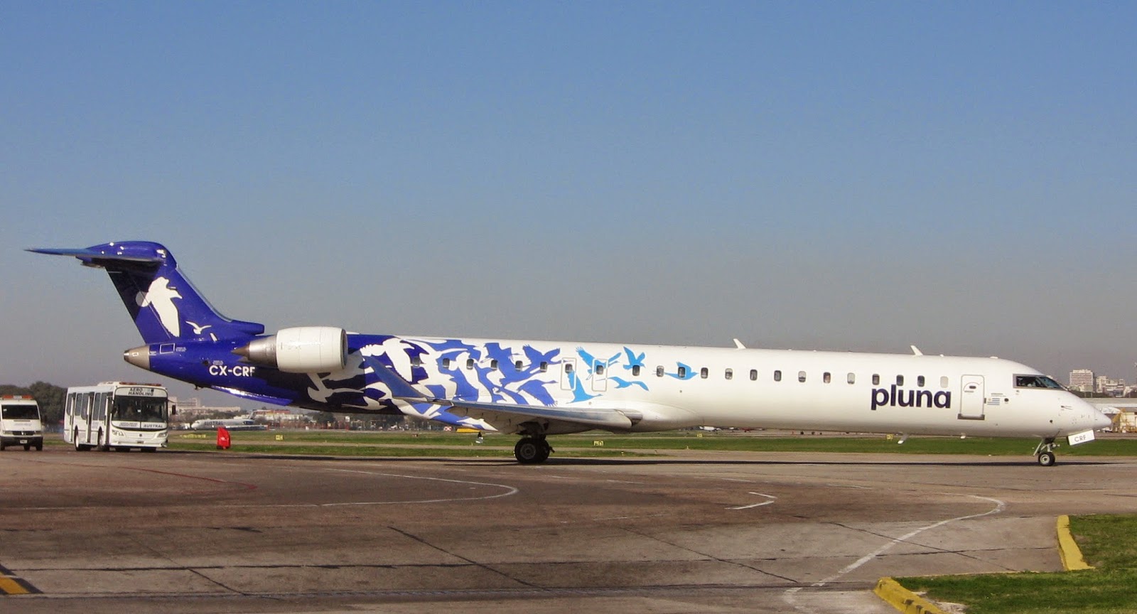Argentina Airline News, Photography & Spotting: PLUNA Replacement ...