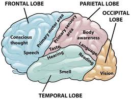 Infection Cancer: SENSORY MEMORY