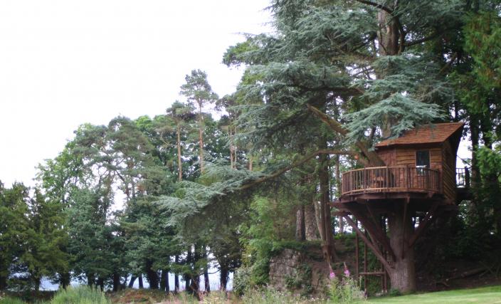 Perdida en Tiffany's: La cabaña del árbol