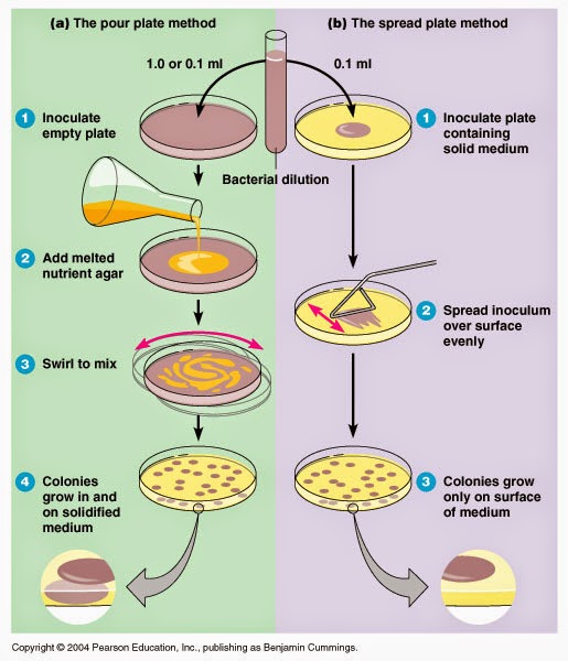 Microworld: December 2014