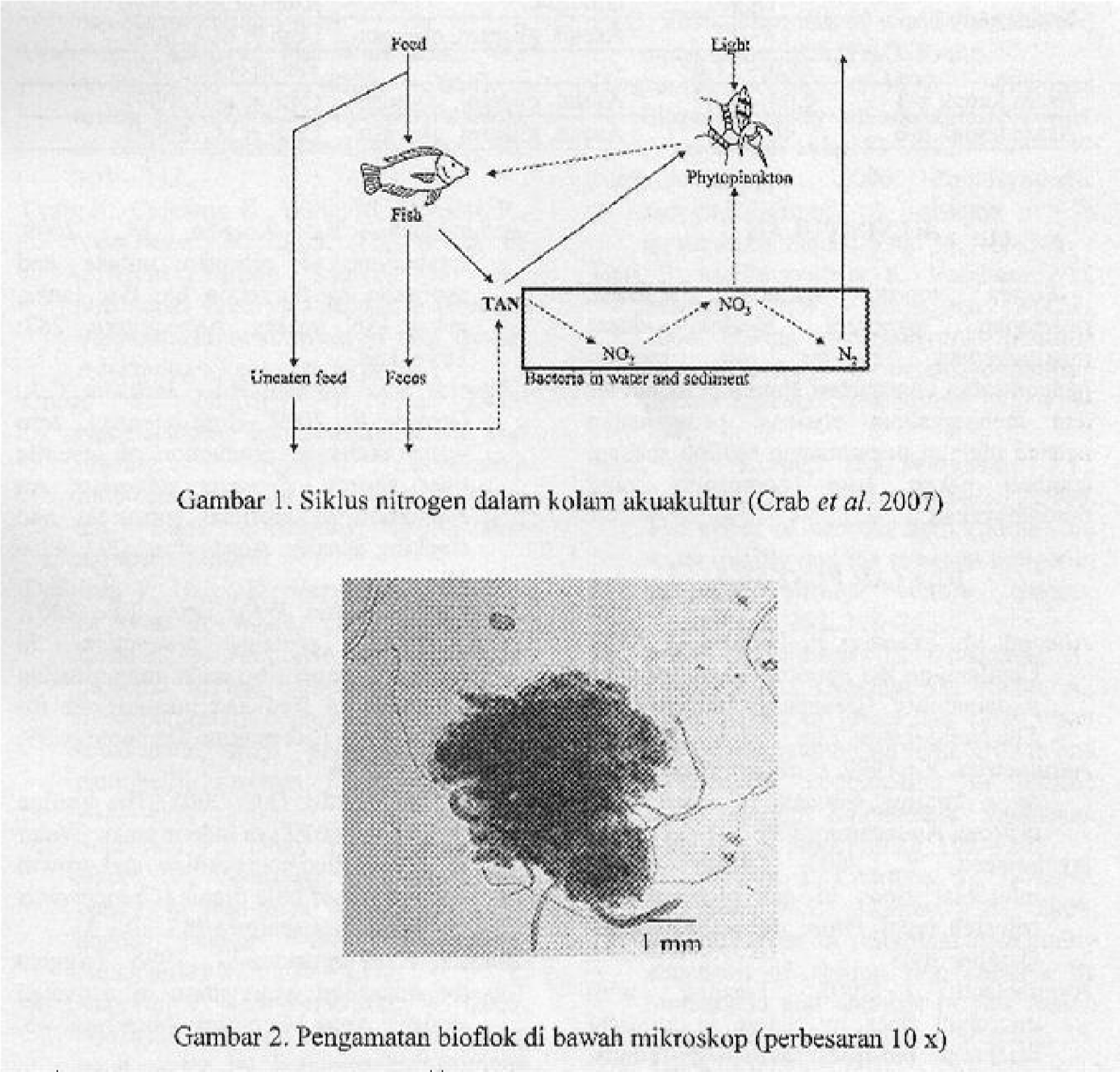 Teknologi Bioflok : Teori dan Aplikasi dalam Perikanan Budidaya Sistem ...