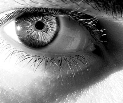 MOMENTOS DE DISTRAÇÃO: Um simples olhar