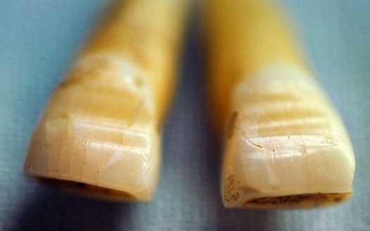 Clas Merdin: Tales from the Enchanted Island: Vikings, Monks and Saxon Gold