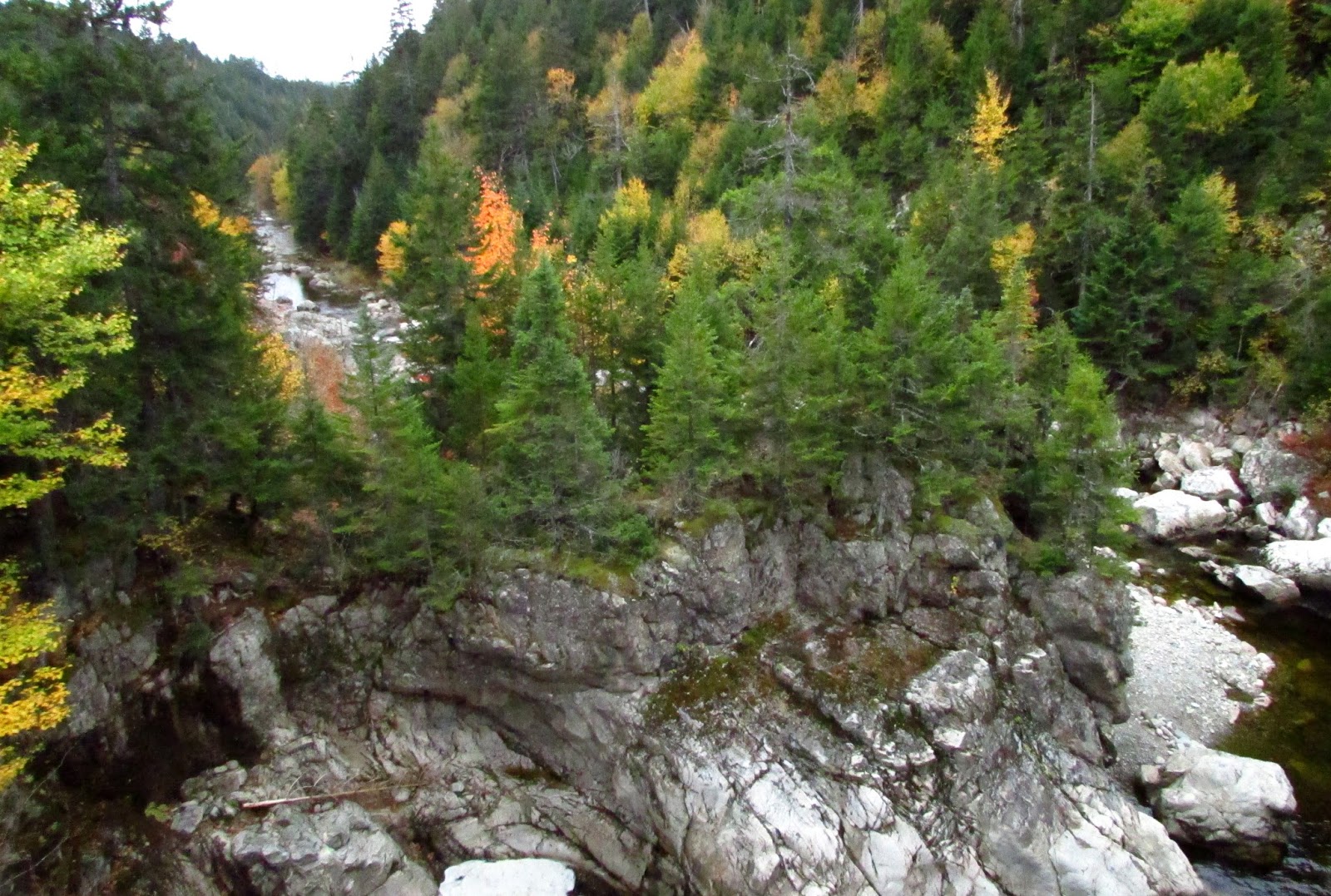New Brunswick's Covered Bridges: Forty Five River No.1