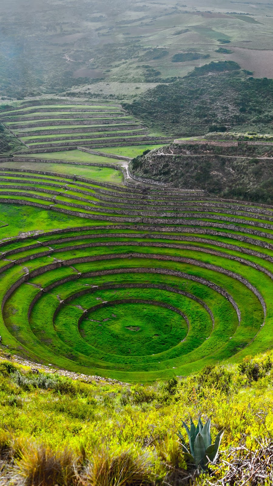 Fondo android pack 105