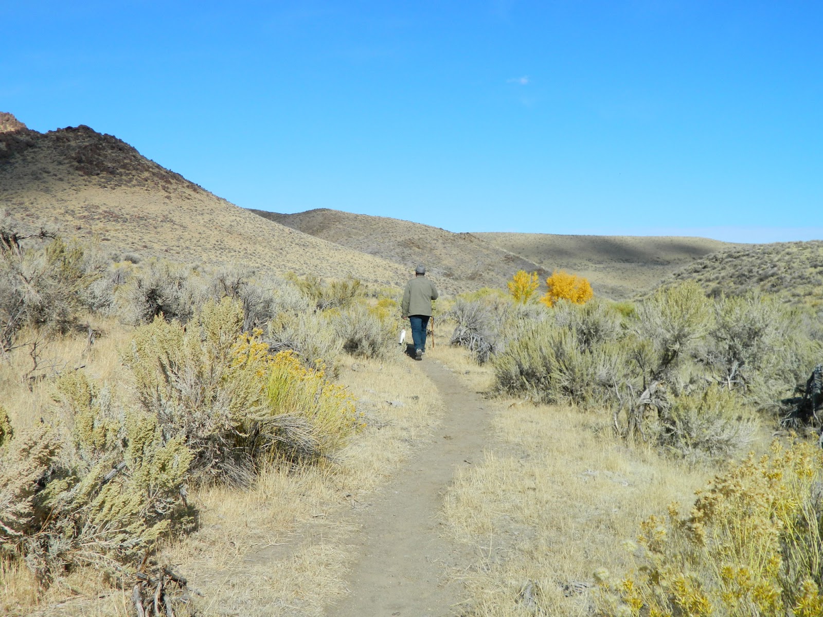 Living in Idaho: Wilson Creek Trail, Owyhees