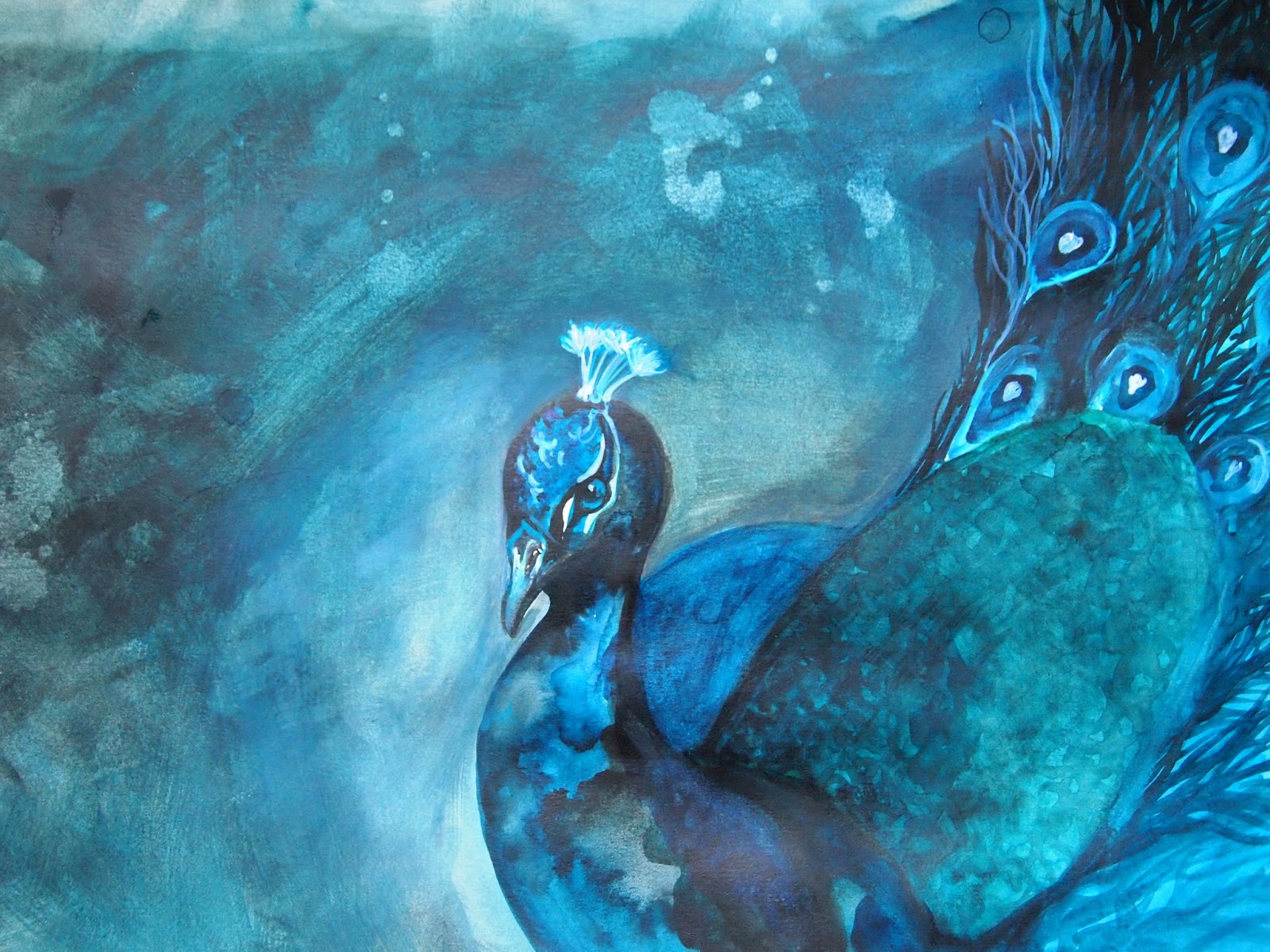 Mille et une couleurs: Le Paon bleu, Aquarelle