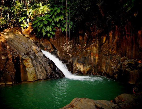 PETITS PARADIS: Saut D'Acomat, Guadeloupe