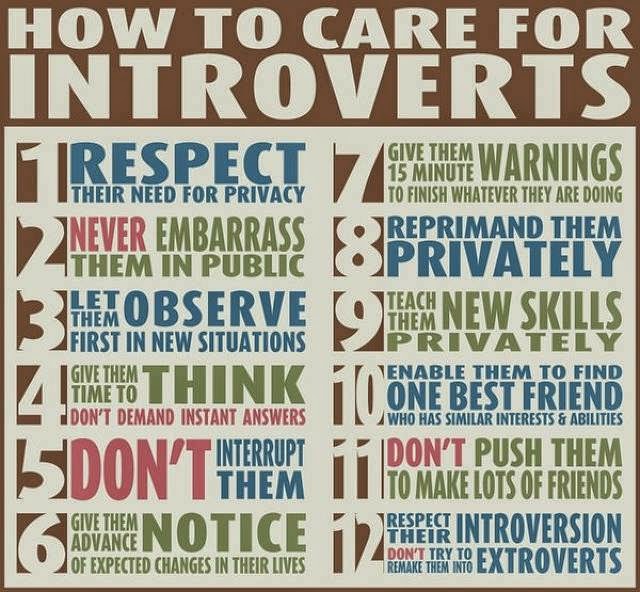 The World of Psychology: Introversion for Dummies