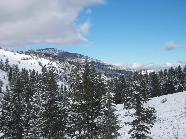 All About Us: Welcome to Logan, the home of bi-polar weather.