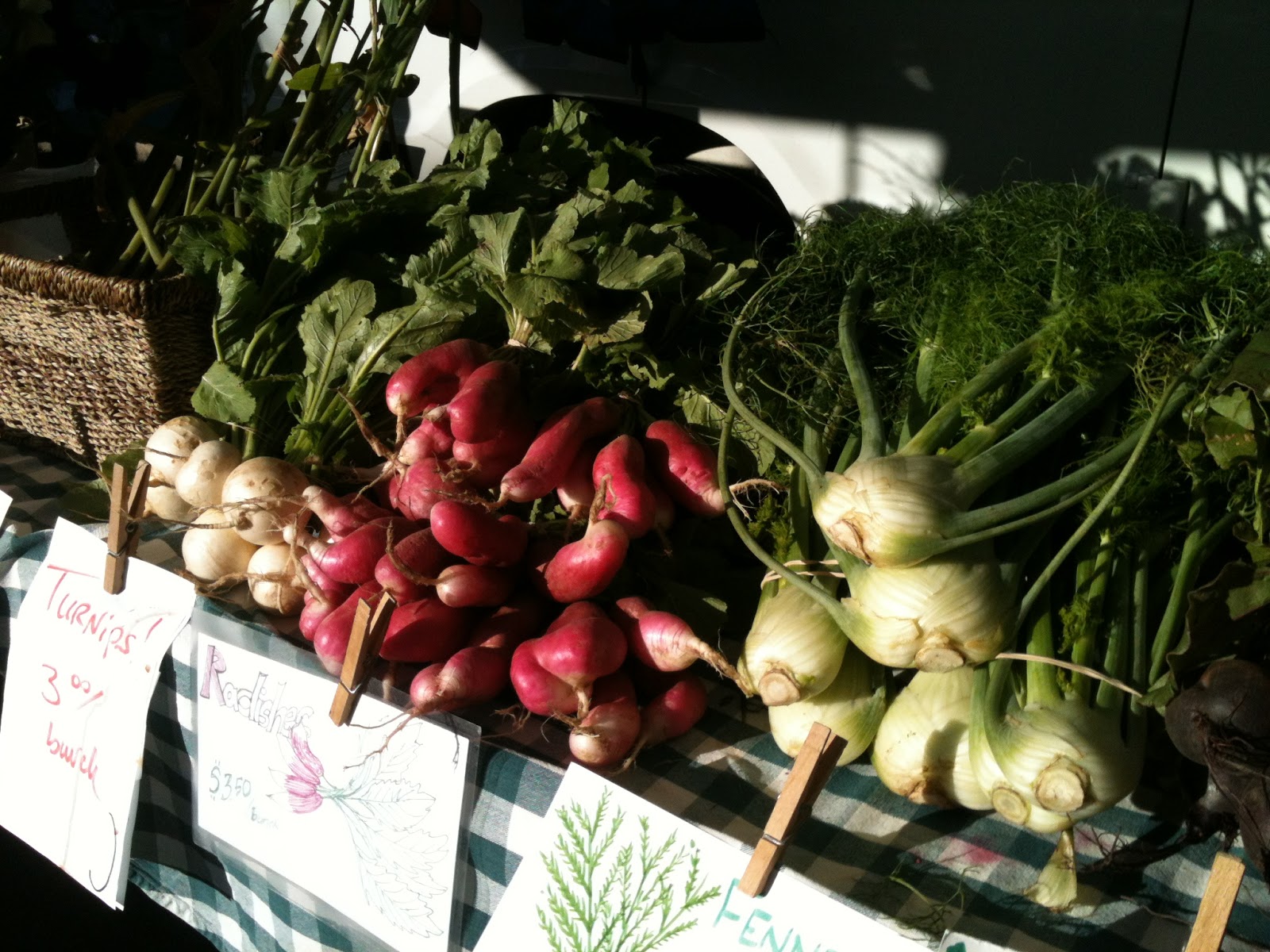 My Munchable Musings: My Munchable Soapbox: Frankenfood, Again?