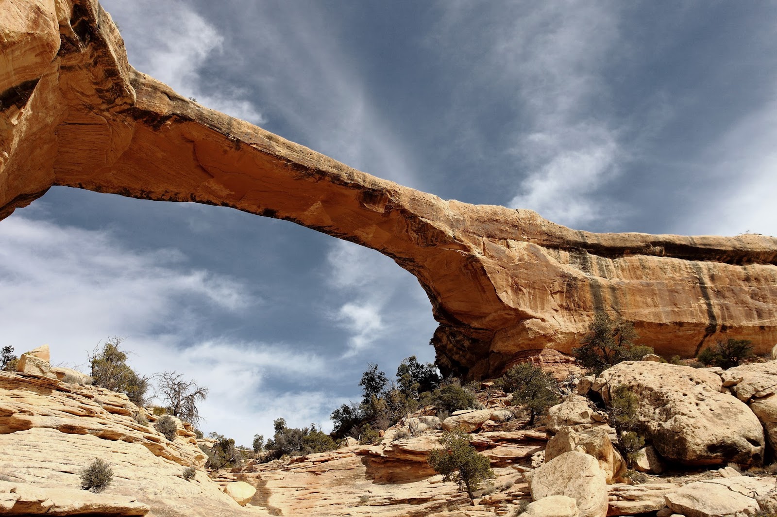 NATURAL BRIDGES NATIONAL MONUMENT - ADAM HAYDOCK