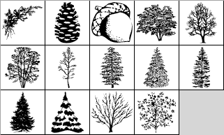 Trees Photoshop Shapes | Photoshop Brushes