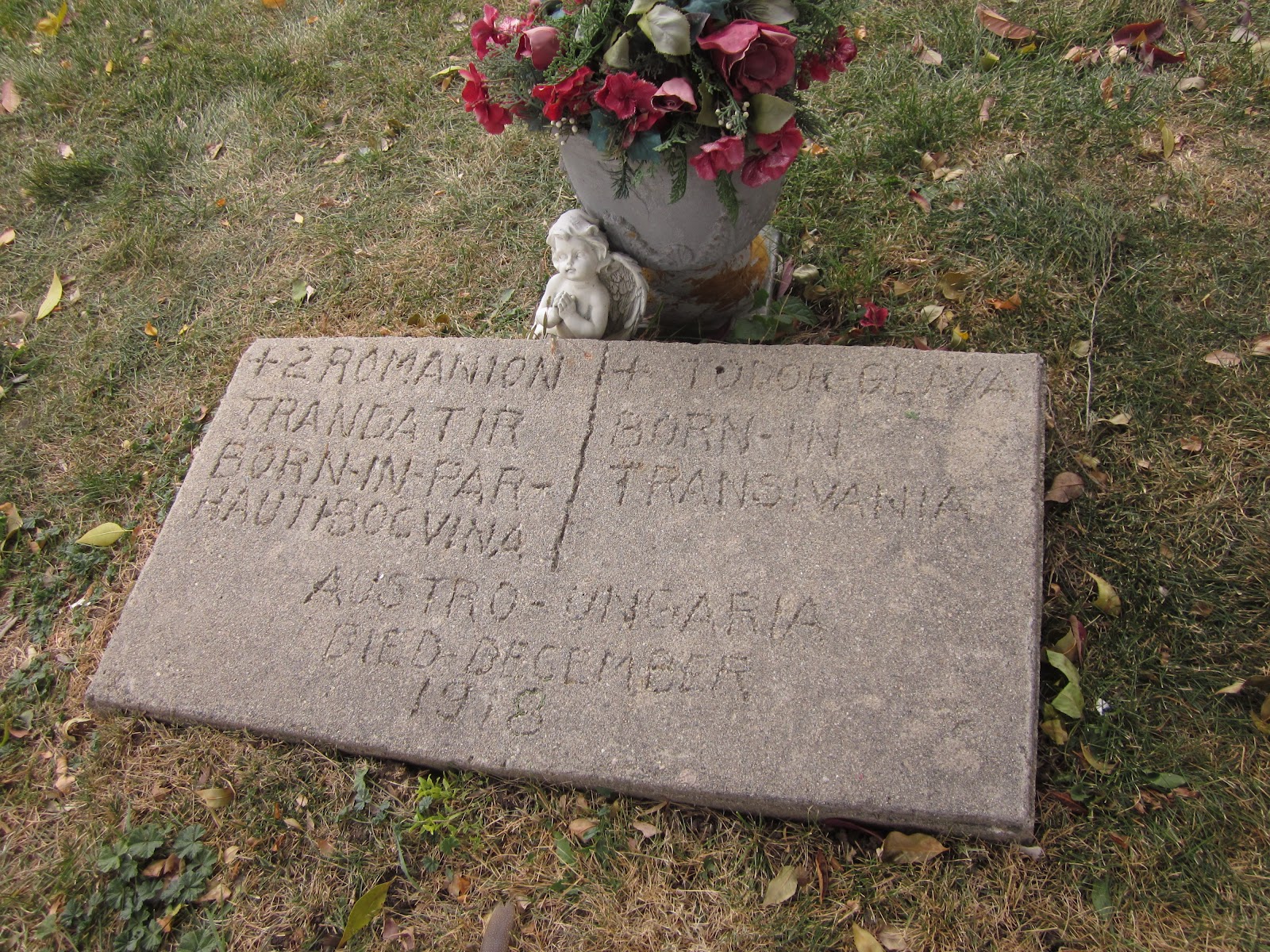 The Land of Melting Shadows: A Vampire's Grave