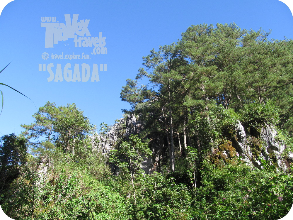 An Amazing Up Close to the Hanging Coffins of Sagada - Travex Travels ...