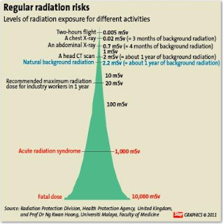Serenemaklong: The Dangers of Radiation Exposure