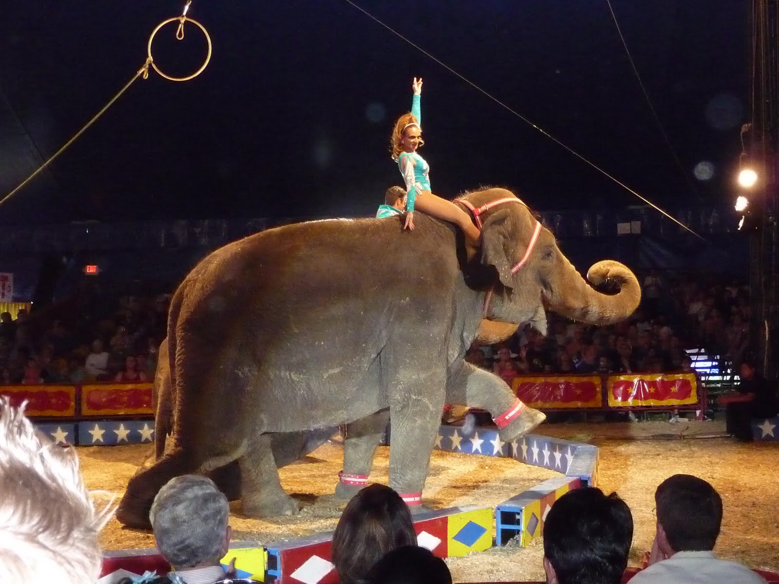 A Slice of Smith Life: Clowin' Around at the Circus