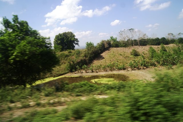 viajando: De Tuxpan a Cerro Azul Veracruz.