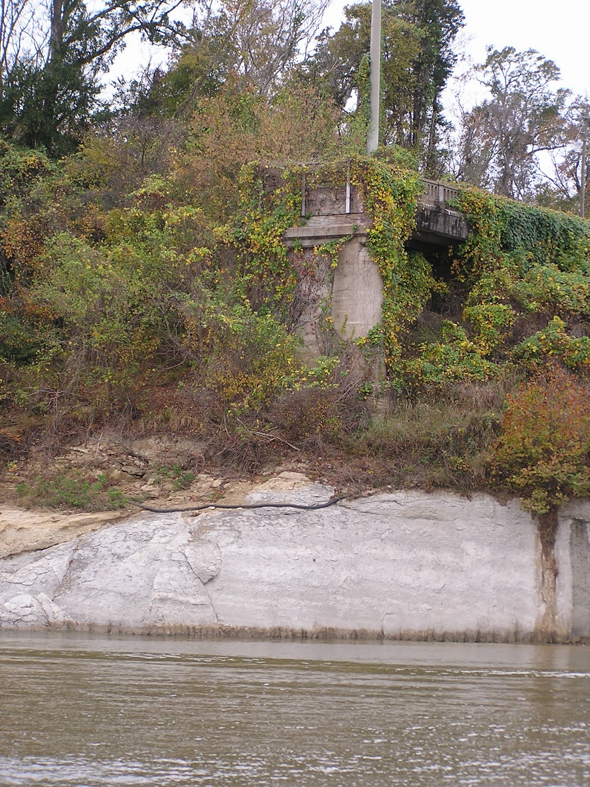 Adventures of Boreas: Day 127 – Kingfisher Bay Marina, Demopolis to ...