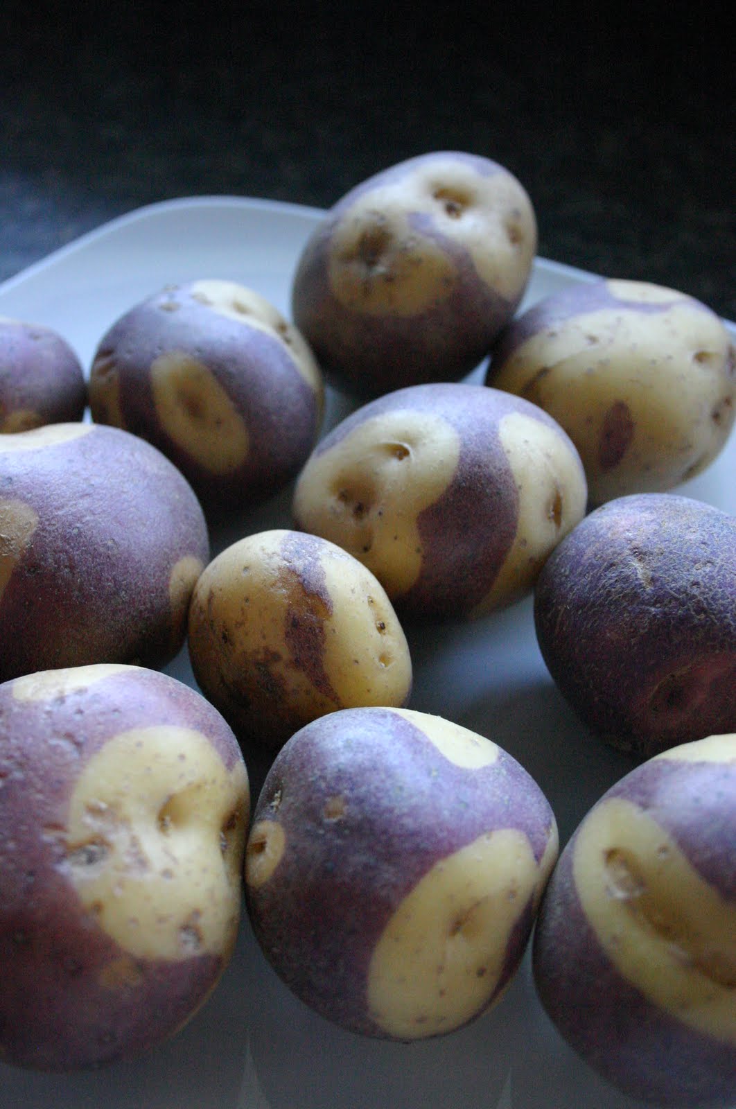 WOOL AND WATER: Crazy Potatoes....