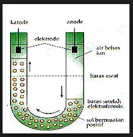 Koloid - Sifat Koloid - Chemistry - React