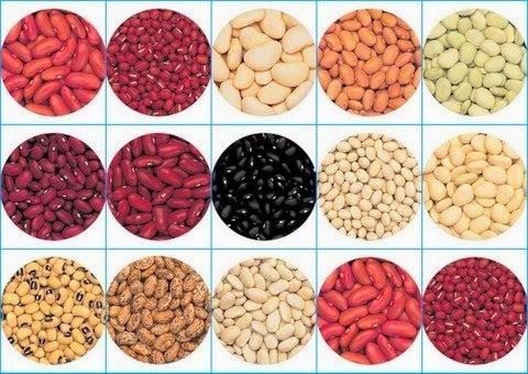 Blog de Arte y Gastronomía de Alejandro Sales: Las Alubias