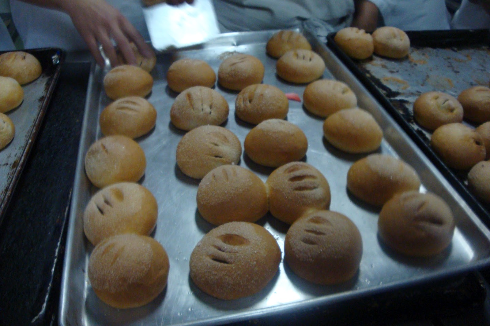 panadería SENA: PAN PERA