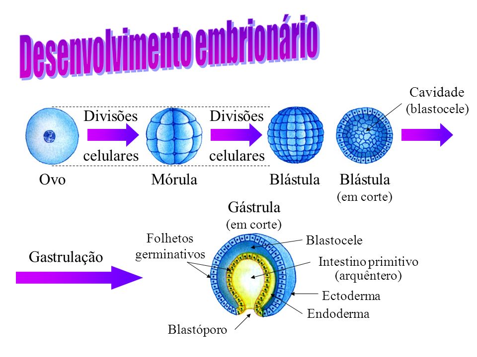 Blog do Prof. Acurso Sena Costa: Outubro 2015