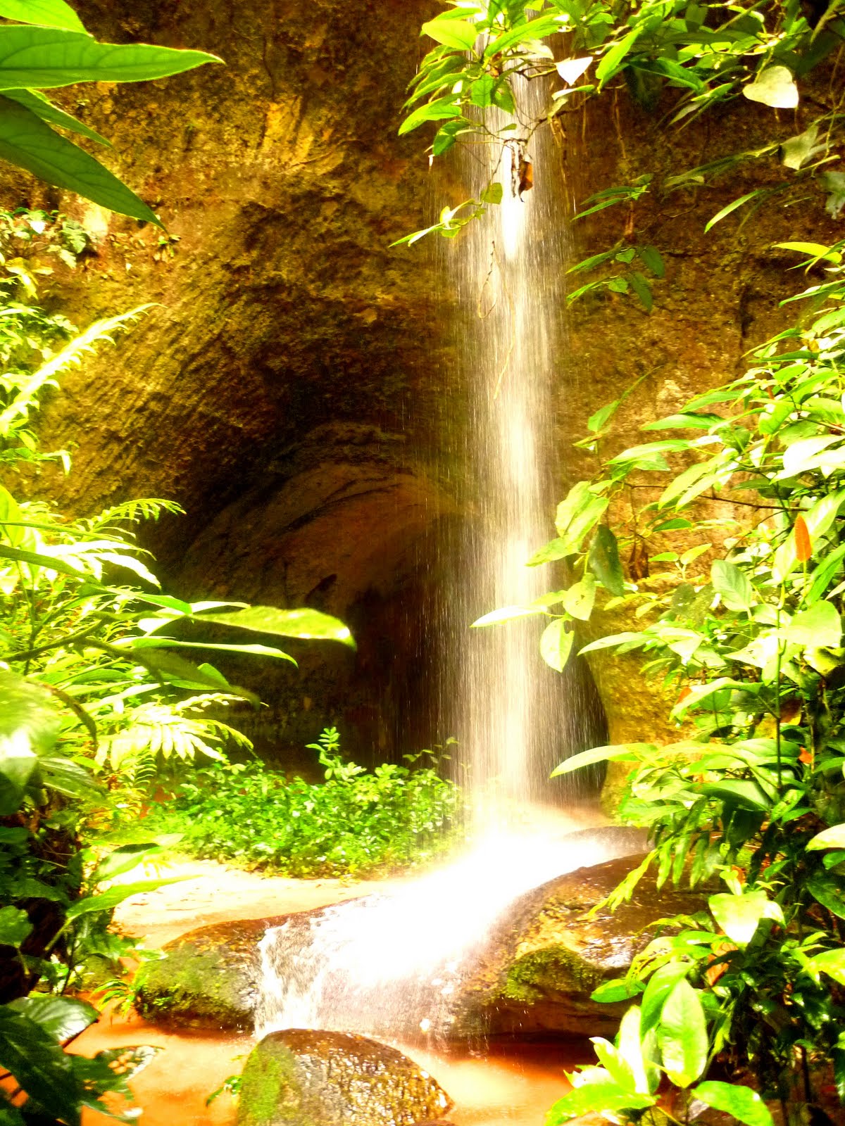 O El Dorado é aqui: Caverna Refúgio do Maroaga e Gruta da Judéia ...