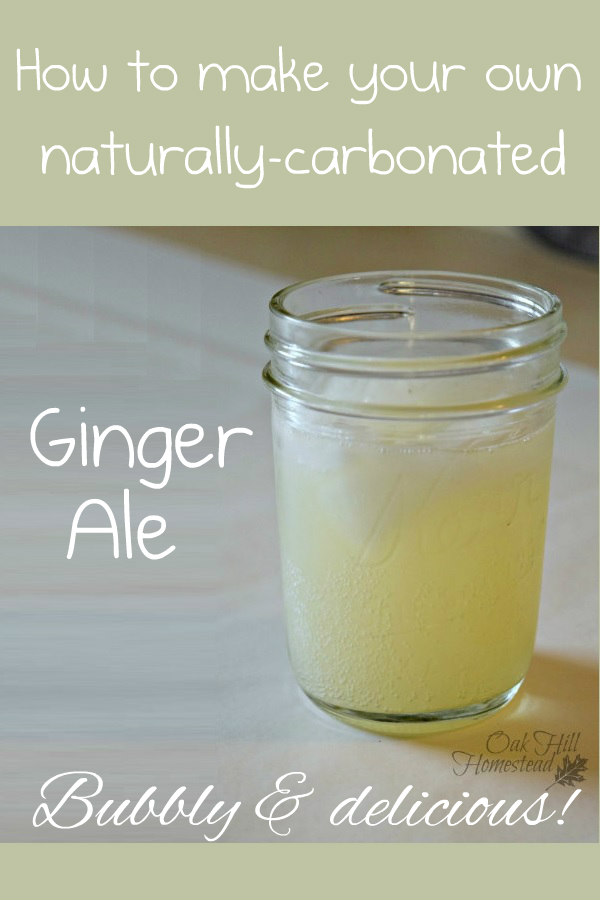 Make Your Own Naturally-Carbonated Ginger Ale - Oak Hill Homestead