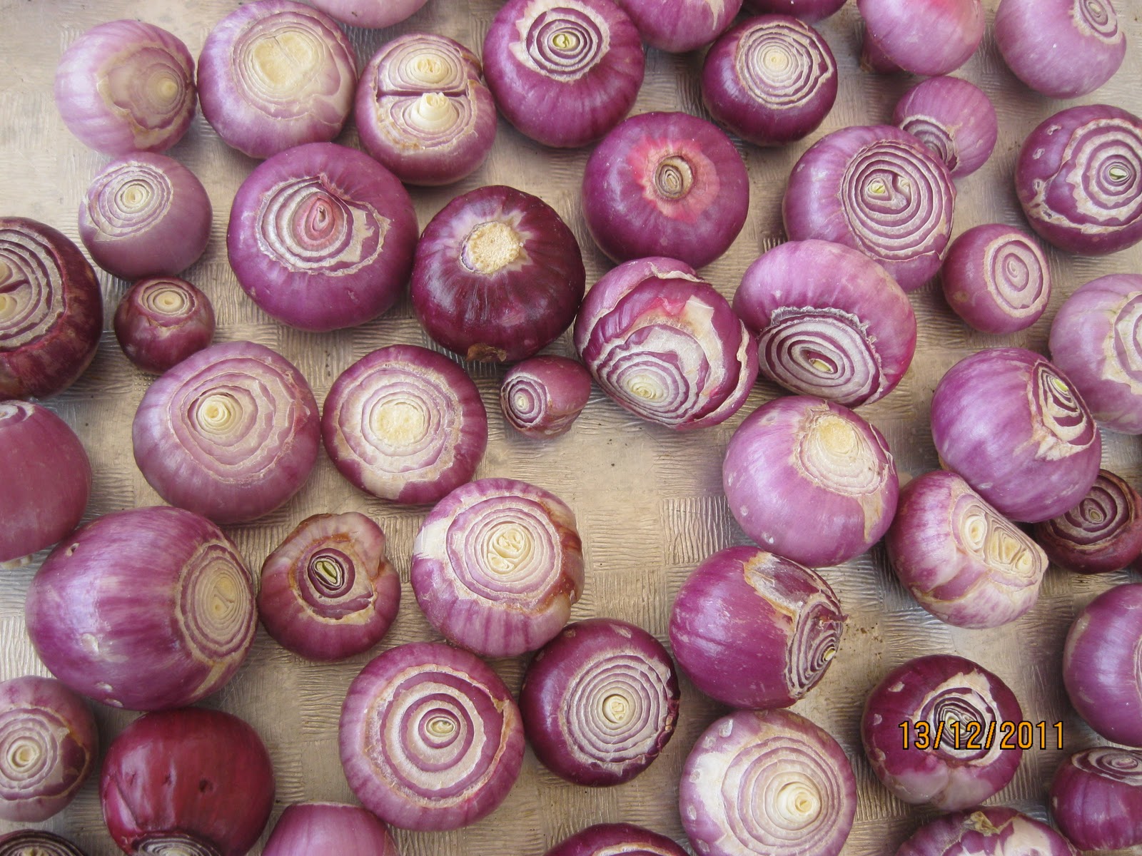 Bairro Portugues de Malacca: December 2011