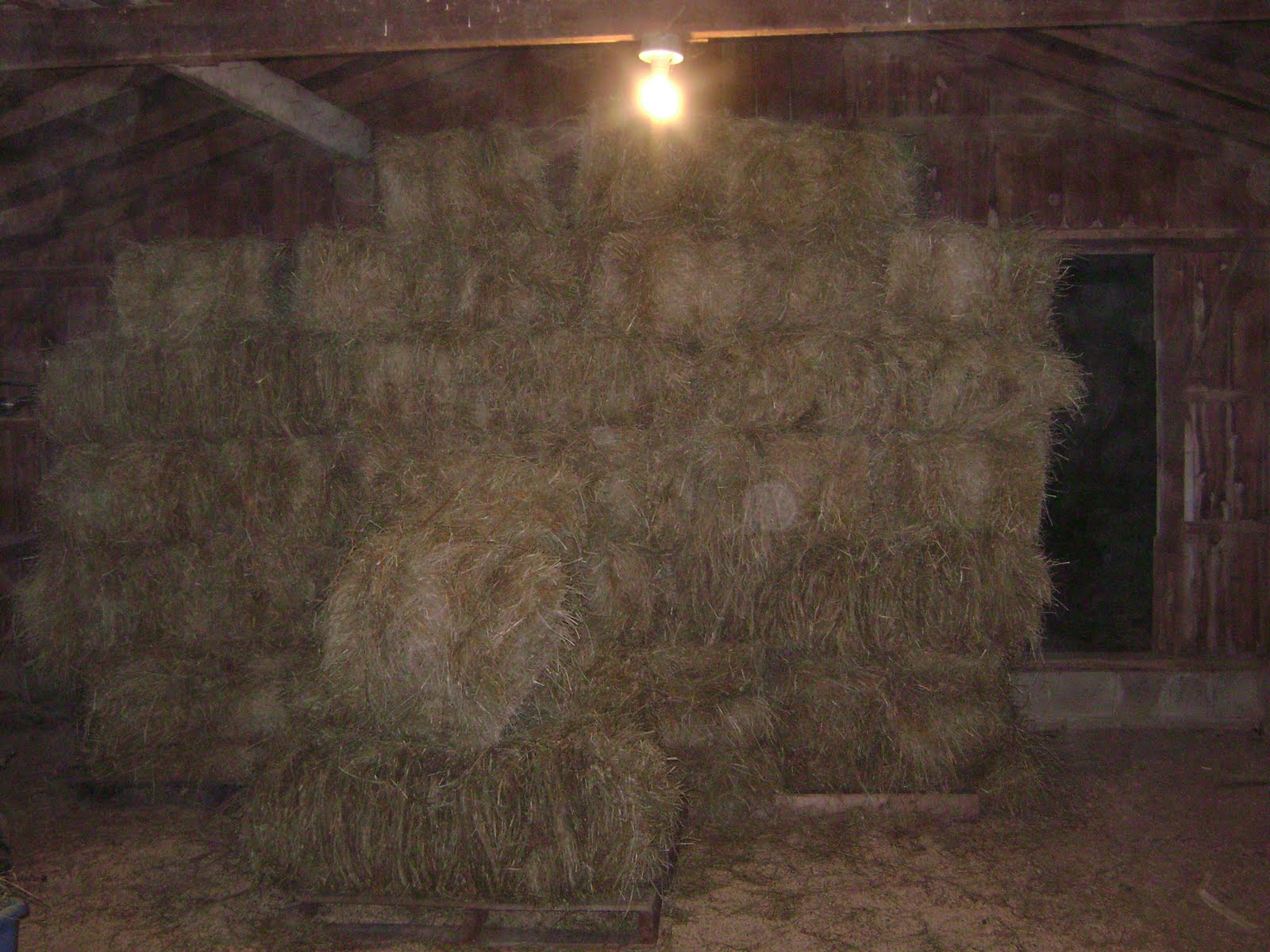 Katiegirl: Stacking Hay